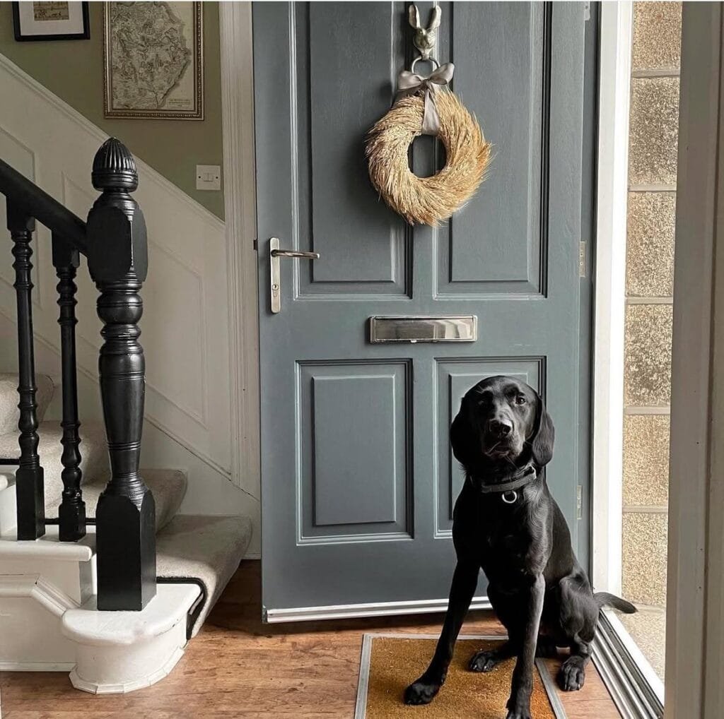 11 Dark & Moody Farrow & Ball Colors That Make Your Door Pop - Mindful Hues